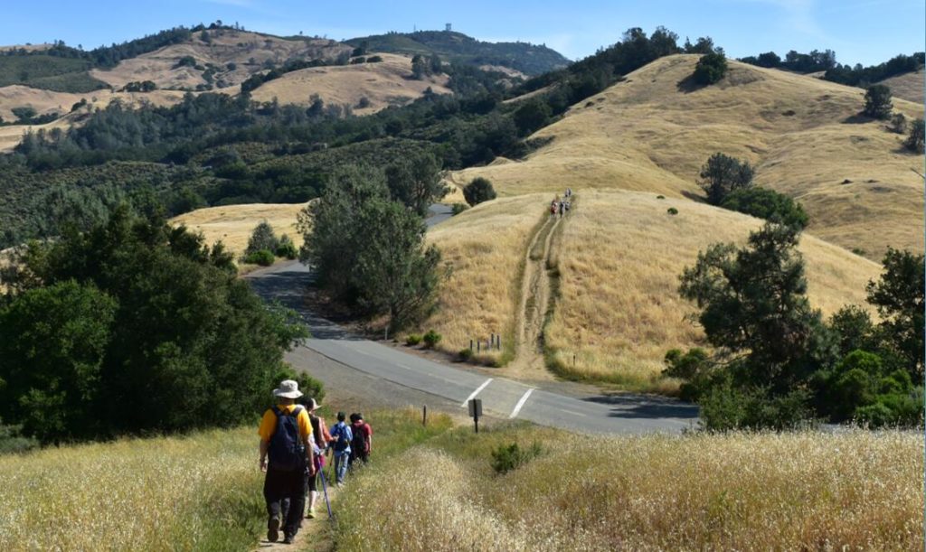 Mount Diablo Summit Trail：走在历史的山巅 邂逅石头城（2016&2017&2018版） - 湾区黄页爬山摄影群